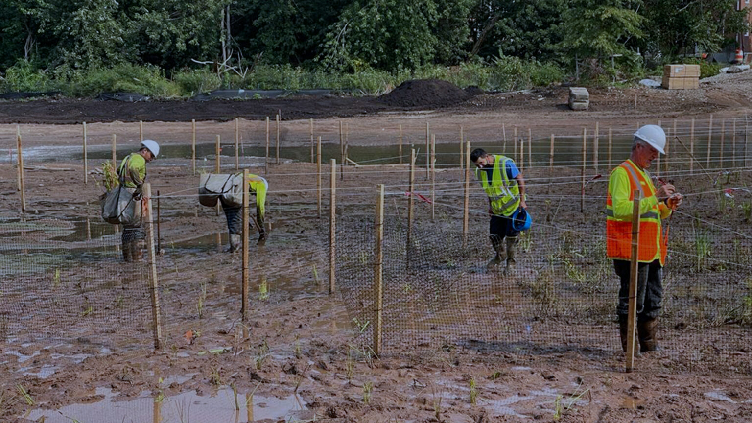 Reforestation Solutions Inc